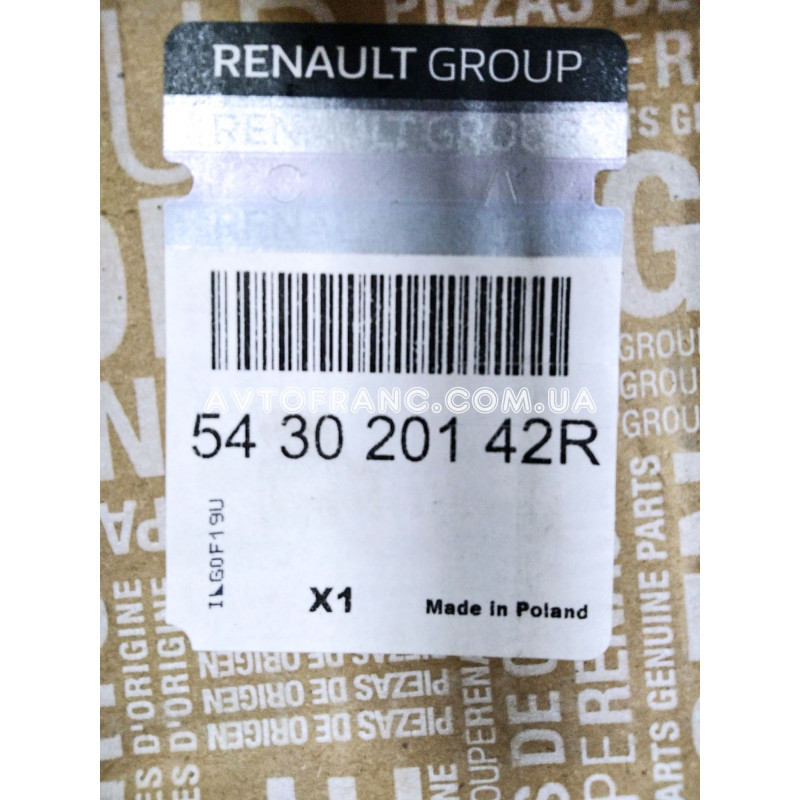 Амортизатор передній Renault Duster 2 (2018-2024) Оригінал 543020142R ...